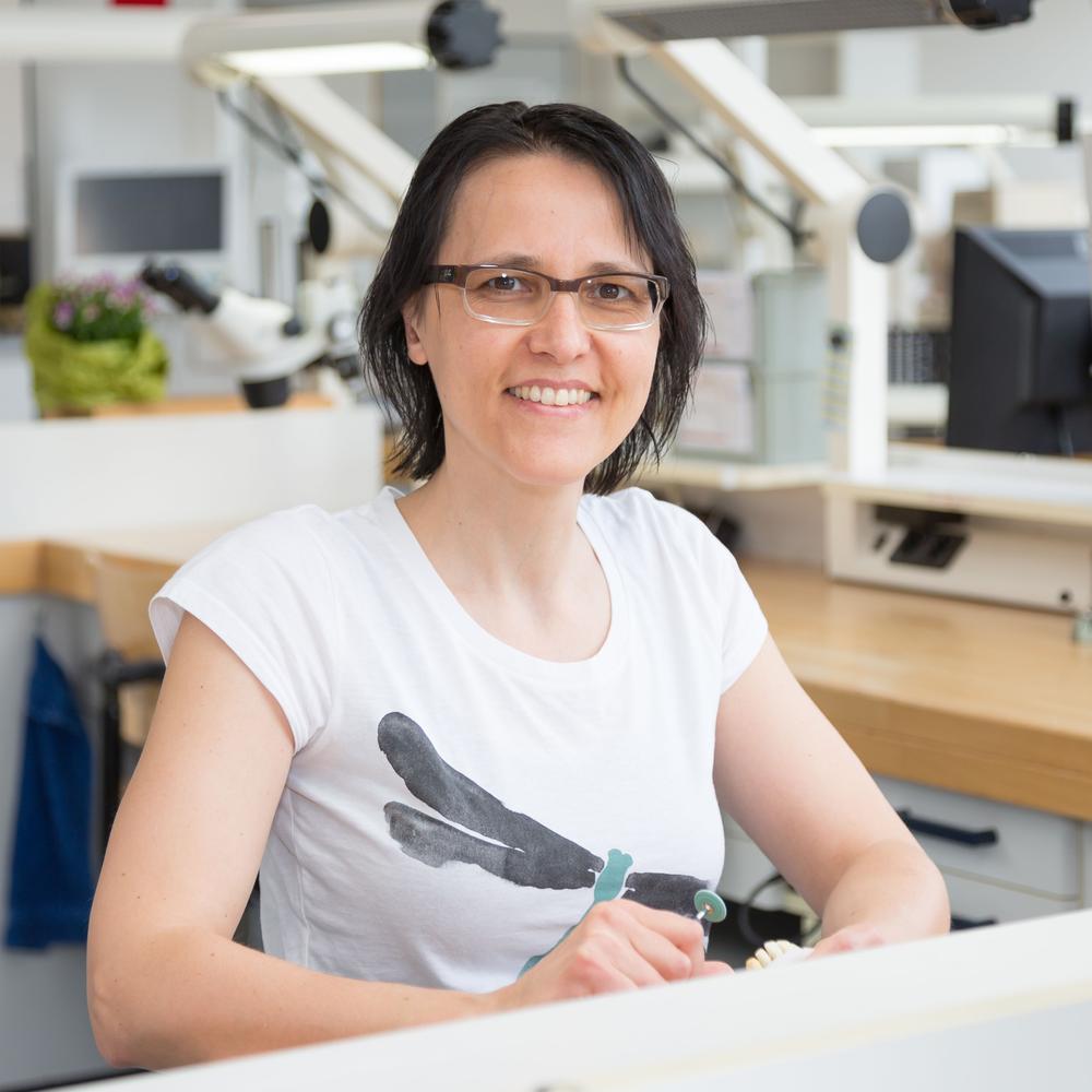 Erhardt Dentaltechnik in Ulm | Ihr Dentallabor stellt sich vor